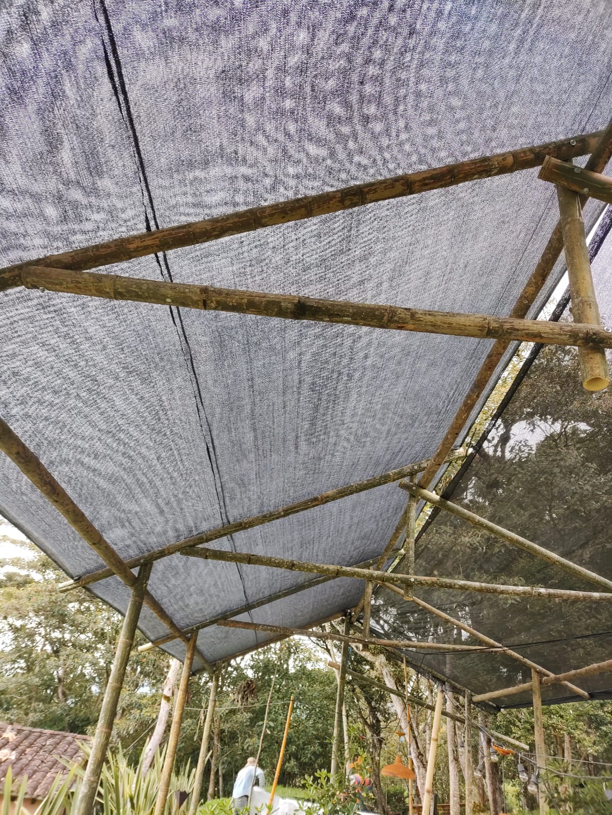 Invernaderos en guadua – CONSTRUCCION DE INVERNADEROS